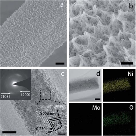 A Sem Image Of Nioh 2 Nioohnf B Sem Image Of Tripodlike Nioh