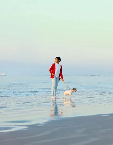 Feature｜driven Base Denso