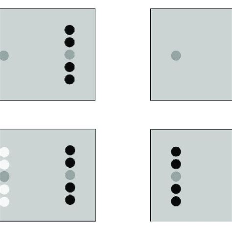A Nulling Task A The Lightness Of The Gray Disk On The Left Was