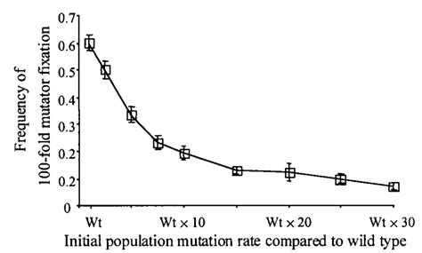 The Presence Of Moderate Mutator Alleles Reduces The Probability Of