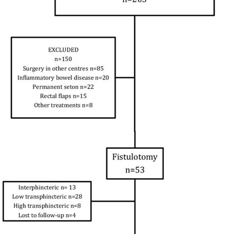 Three Dimensional Endoanal Ultrasound Measurements And Their Download Scientific Diagram