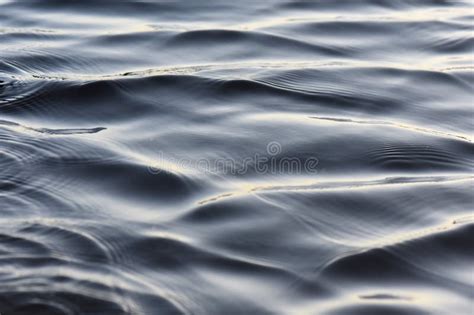 Water Drop On The Surface Of The River Closeup Of Photo Stock Image