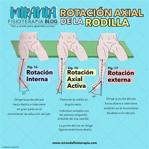 Movimiento De Flexoextensión Y Rotación Axial De La Rodilla