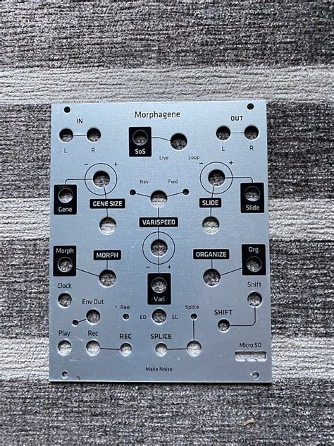 Grayscale Silver Make Noise Morphagene Replacement Panel Reverb