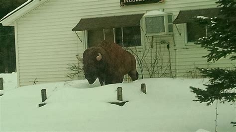 Gaslight Village Gaslight Village Lake George New York