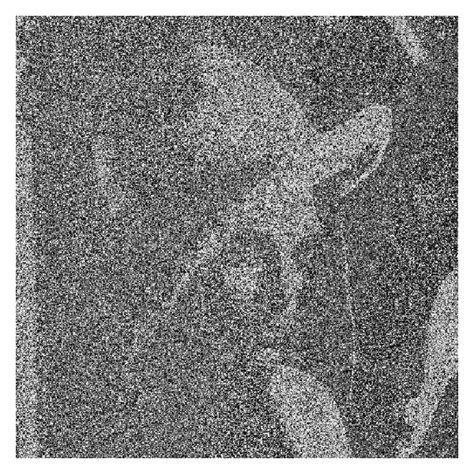 An Image Encryption Algorithm Based On Balanced Pixel And Chaotic Map