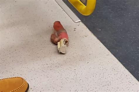 Metrolinks Brilliant Response After Passenger Finds Sex Toy On Tram Manchester Evening News