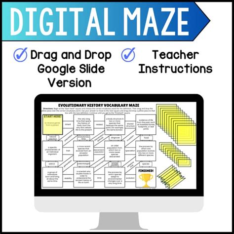 Amplify Science 8th Grade Evolutionary History Vocabulary Review Maze Activity