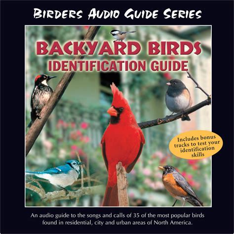 Backyard Birds Identification Guide Naturescapes Relax Tv