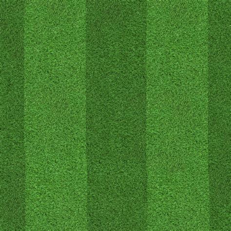 What Are Grass Textures For Football Manager 2024 Dyulrd