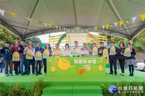 欣賞魯冰花的最佳時機到了 張善政啟動桃園魯冰花季 蕃新聞