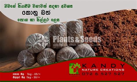 Kohu Bath Plants And Seeds