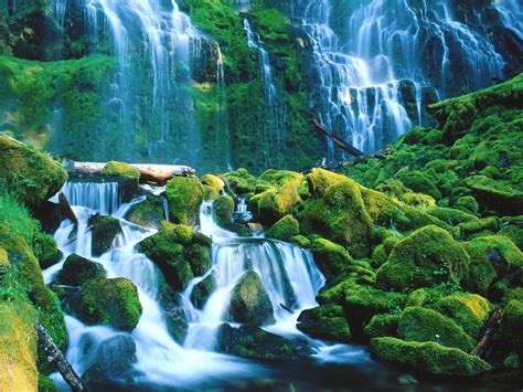 Water Fall Nature Wallpaper