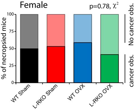 Figures And Data In Ovariectomy Uncouples Lifespan From Metabolic
