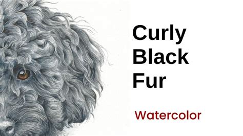 How To Paint Curly Black Fur Of Animals In Watercolor Youtube