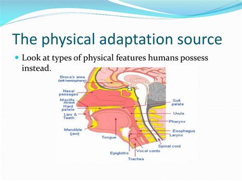Ppt Chapter 1 Powerpoint Presentation Free Download Id2312265