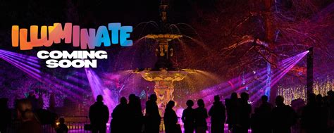 Illuminate Light And Sound Experience