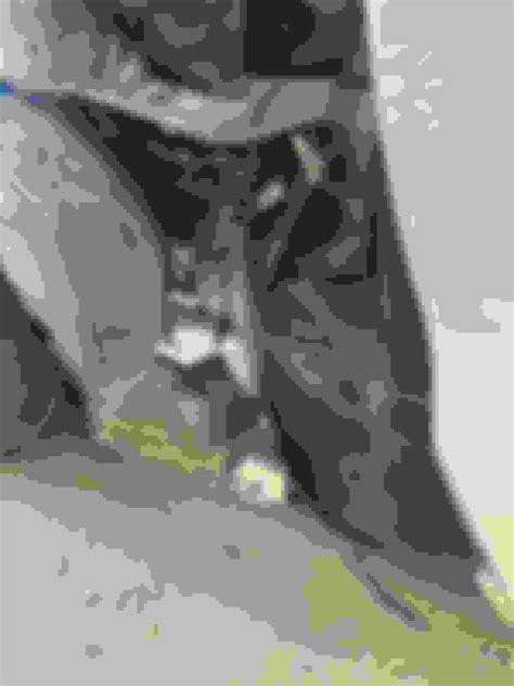 Z06 2000 C5 Chassis Corvetteforum Chevrolet Corvette Forum Discussion