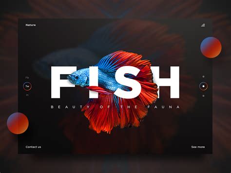 Fish Ui Prototypr Prototyping