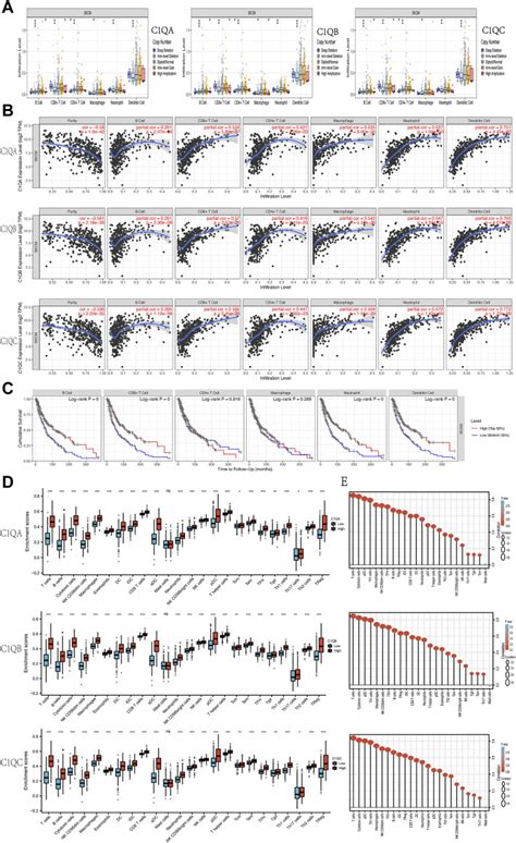 Prognostic And Immune Related Value Of Complement C1q C1qa C1qb And