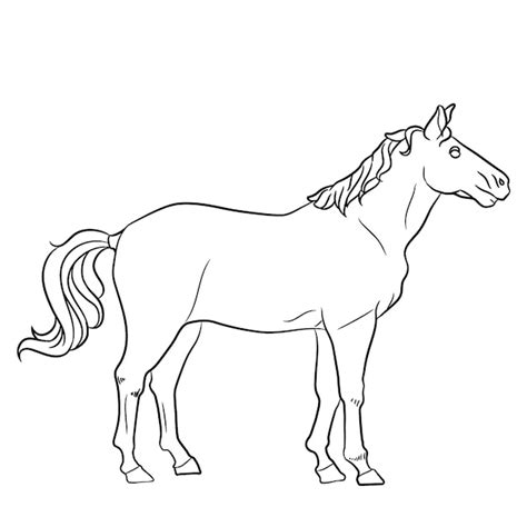 Horse Outline Clip Art