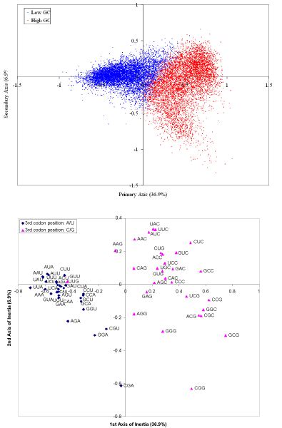 Correspondence Analysis Of Relative Synonymous Codon Usage Rscu For Download Scientific