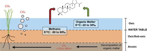 Biogeochemistry — Climategordon