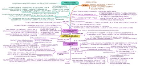 Stafilococchi Coggle Diagram