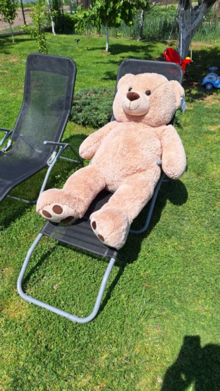 Plisani Medo Plišane Igračke Olxba