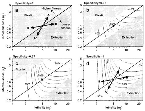 Domains Of Competitive Exclusion And Stable Polymorphism Under Di Ff