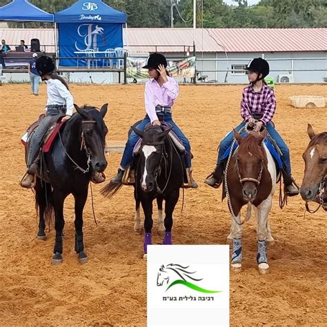 חוות גרין פילדס Green Fields Ranch הכנות להפנינג סוכות בחווה בין