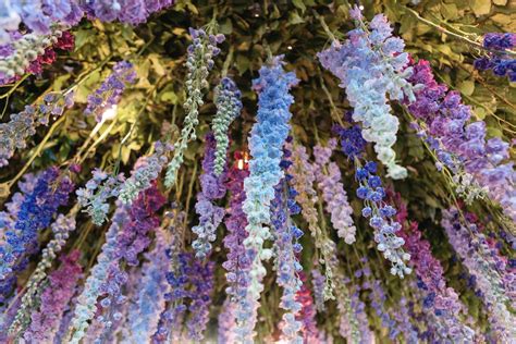 Colorful Bird Summer Wedding Ceiling Decor