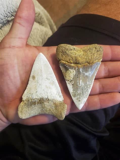 The Largest Gws In My Collection Both Being Just Shy Of 3 Which Is About The Biggest Gws Youll