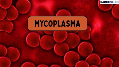 Mycoplasma Causes Symptoms And Diagnosis Examples Topics