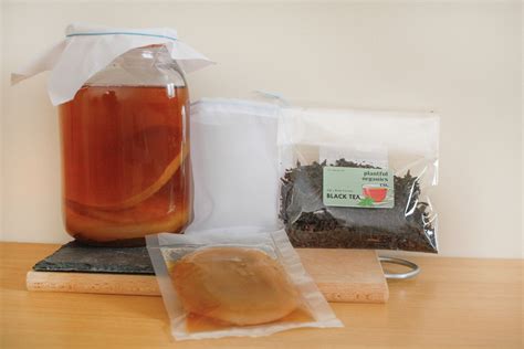 Kombucha Scoby Diy Starter Kit With Instructions Organic Kombucha Etsy