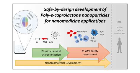Unravelling The Immunotoxicity Of Polycaprolactone Nanoparticles—effects Of Polymer Molecular