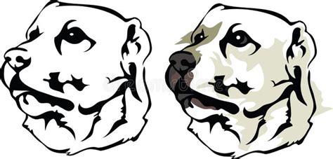 Alabai Стоковых иллюстраций и клипартов 188 Стоковых иллюстраций