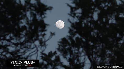 Harley Loveand Submissive 20yo Redhead Docile And Obedient Sex Kitten