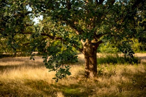 Top Interview Questions And Answers For Big Data Technologies Eg