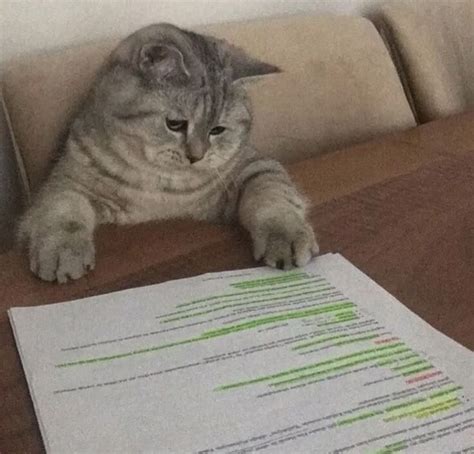Смешные котята кот сидит на столе Paper Crafts El Gato Homework Cat