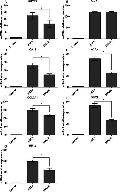 Quantitative Reverse Transcription Polymerase Chain Reaction Analysis