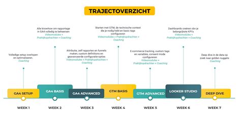 Expert Data And Analytics Opleiding T Shaped Academy