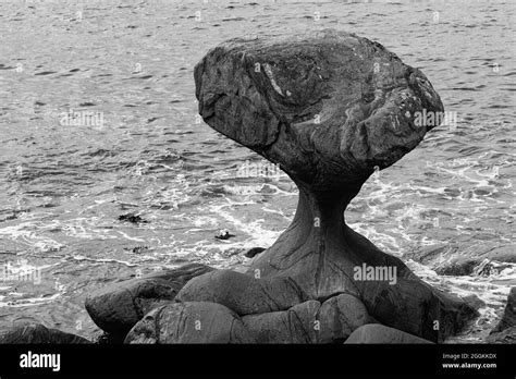 Mushroom Shaped Kannesteinen Rock At Oppedal Shoreline Vågsøy Not Far