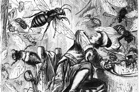 How To Remove A Wasp Nest Without Getting Stung