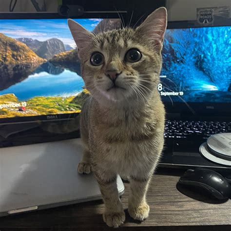 Scott Doucet Hcd Designer Accessibility Specialist Video Producer Multimedia Specialist