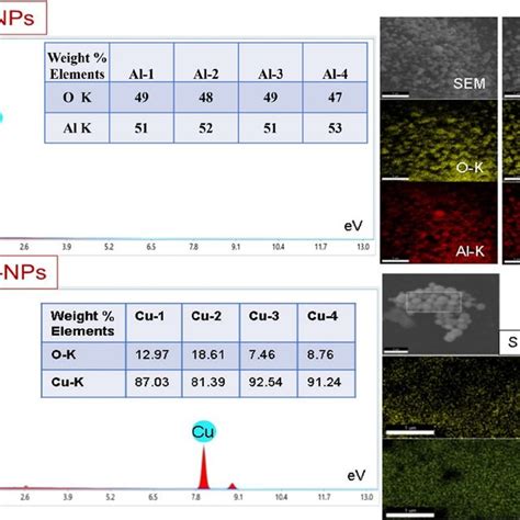 Sem Image Of Al Nps Al 1and Al 2 And Cu Nps Cu 3 Specimens Along With Download Scientific