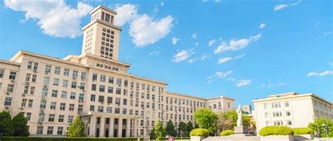 南开团队发现阿尔茨海默病治疗的潜在新靶点 小鼠 神经 研究