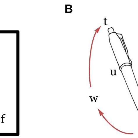 A Grid Cells In The Entorhinal Cortex Represent Locations Of A Body
