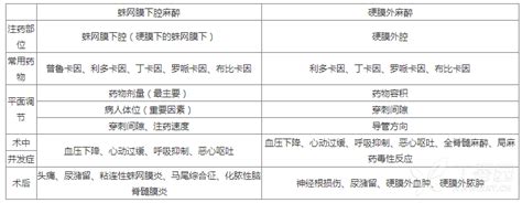 腰麻与硬膜外麻醉 麻醉疼痛专业讨论版 丁香园论坛