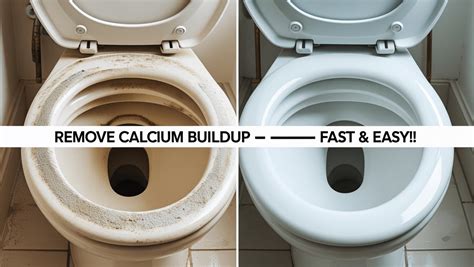 How To Remove Calcium Ring From Toilet Easy Diy Solutions